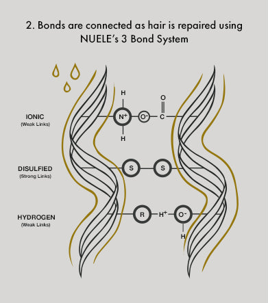 How it Works – Nuele
